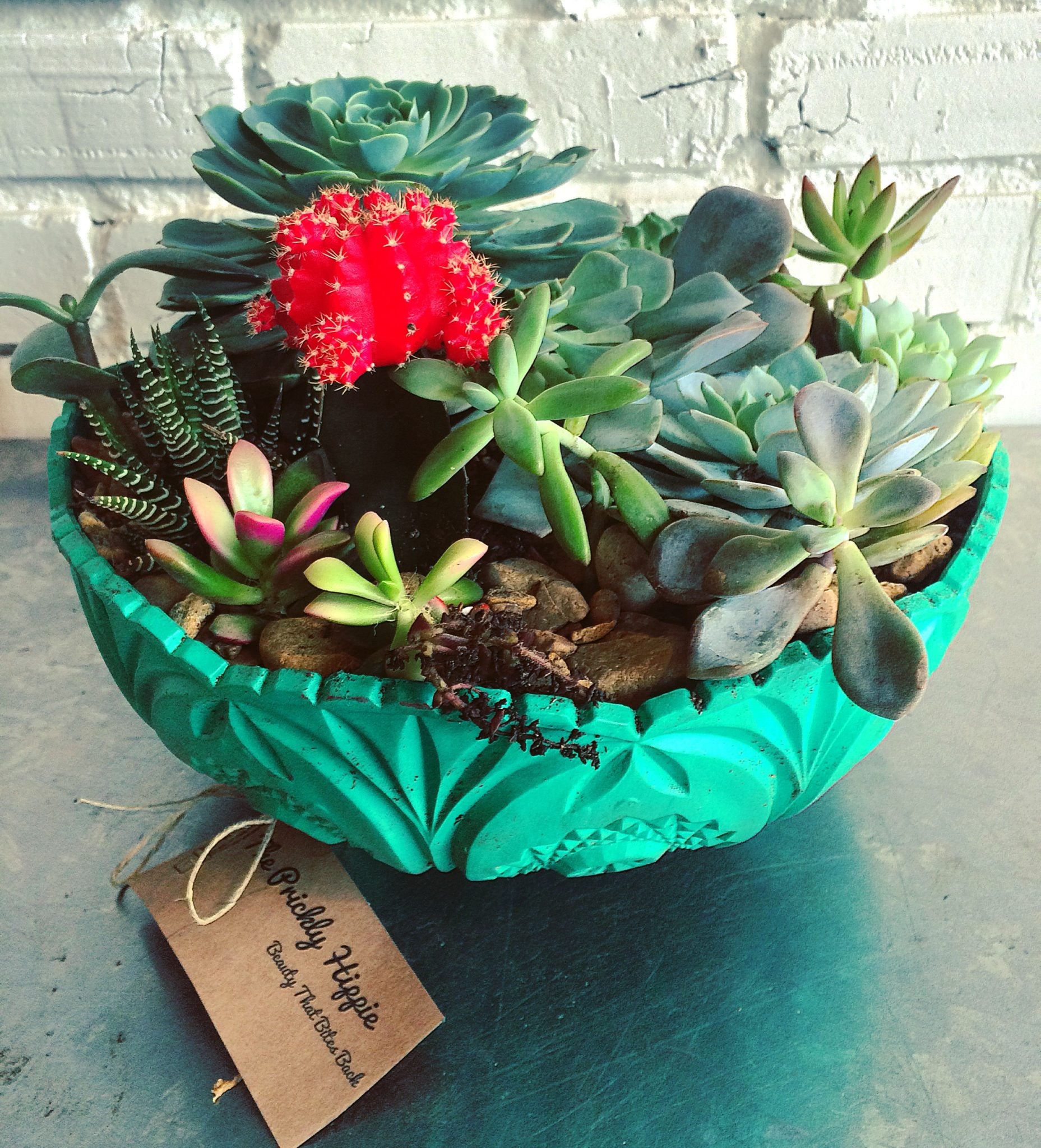 Mississippi Monday | The Prickly Hippie – Thimblepress