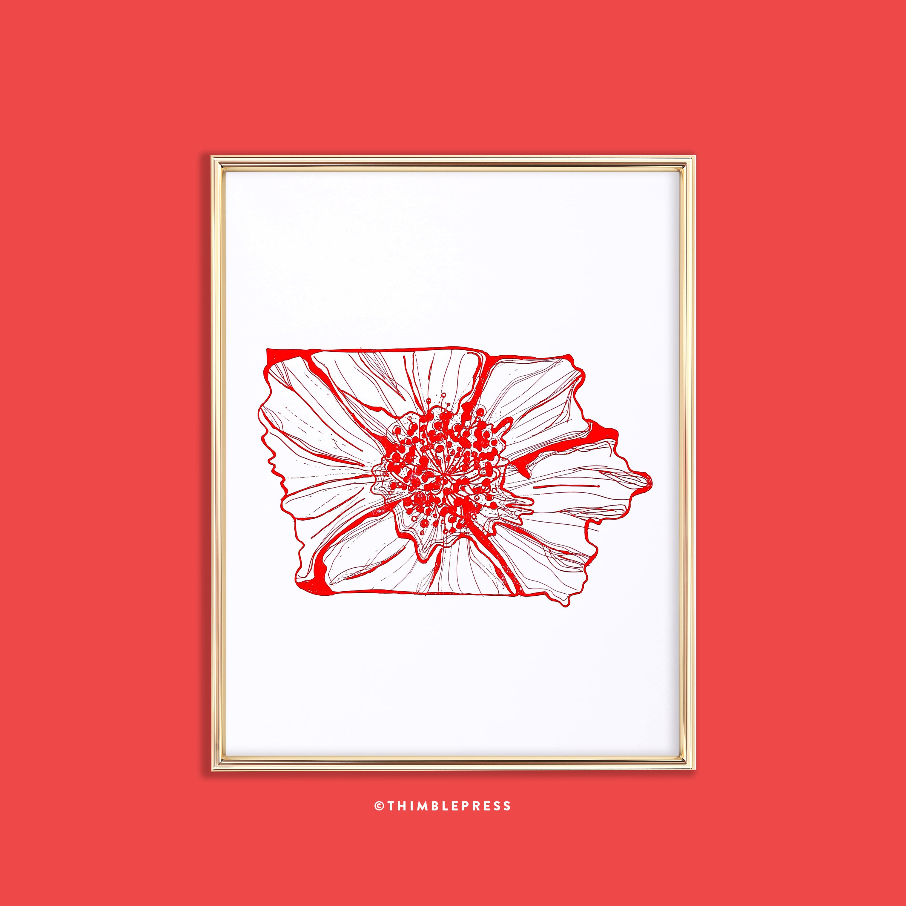 letterpress iowa wild prairie rose state flower art for wall decor ...